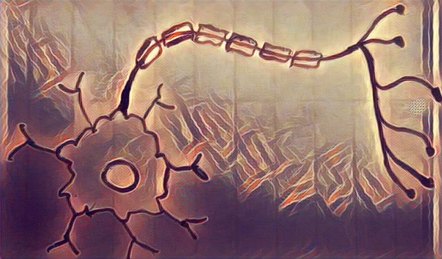 An introduction to Neural Networks without any formula • ML Mentorship